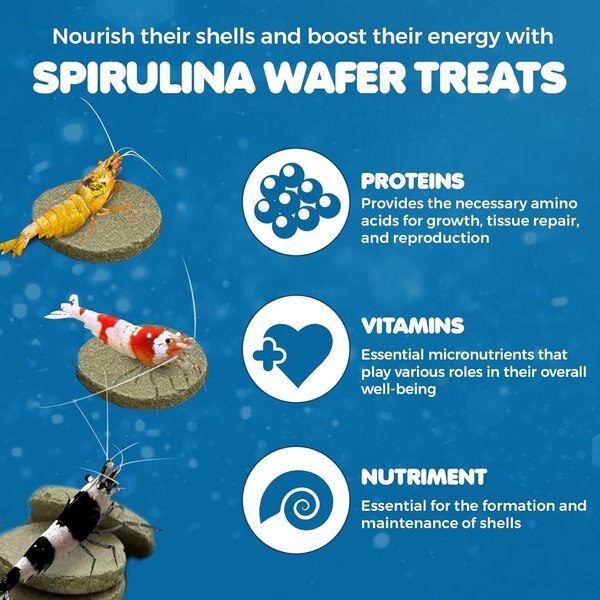 SUNGROW Growth Supplement for Freshwater Aquarium Bottom Feeders ...