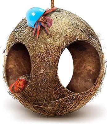 coconut accessories