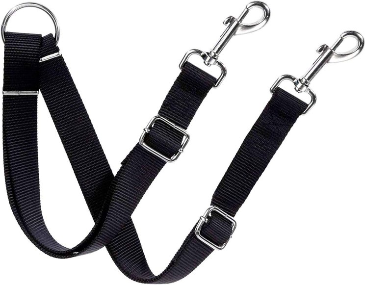 Double Handle Dog Leashes (Free Shipping) | Chewy