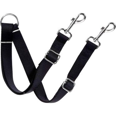 Double Handle Dog Leashes (Free Shipping) | Chewy