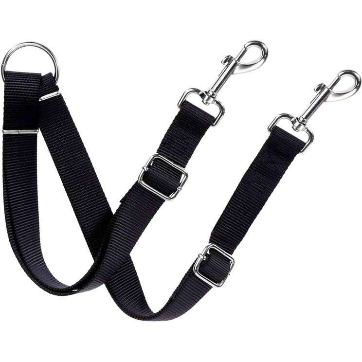 Double Handle Dog Leashes (Free Shipping) | Chewy