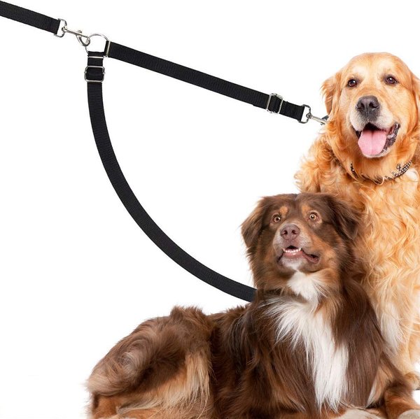 SUNGROW Heavy Duty & Tangle Free Double Dog Training Leash Walking ...