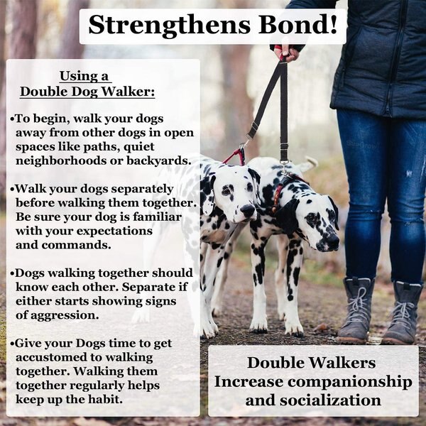 SUNGROW Heavy Duty & Tangle Free Double Dog Training Leash Walking ...