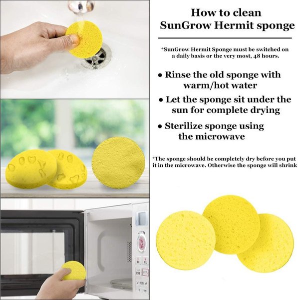 SUNGROW Hermit Crab Tank Humidity Control Sponge, Yellow, 3 count ...