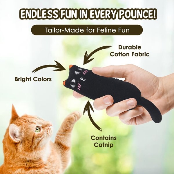 VILA Interactive Fetch & Play Plush Cat Dental Chew Toy with Catnip, 5 count - Chewy.com