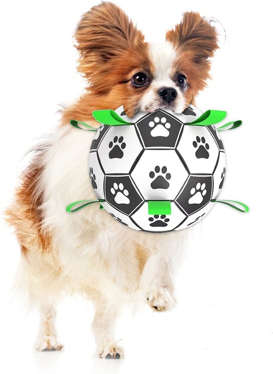 BALLS FOR SMALL DOGS (Free Shipping) | Chewy