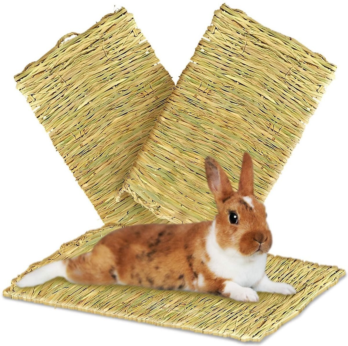 SUNGROW Natural Grass Chew Mat & Hay Bedding Cage Rabbit, Guinea Pig ...
