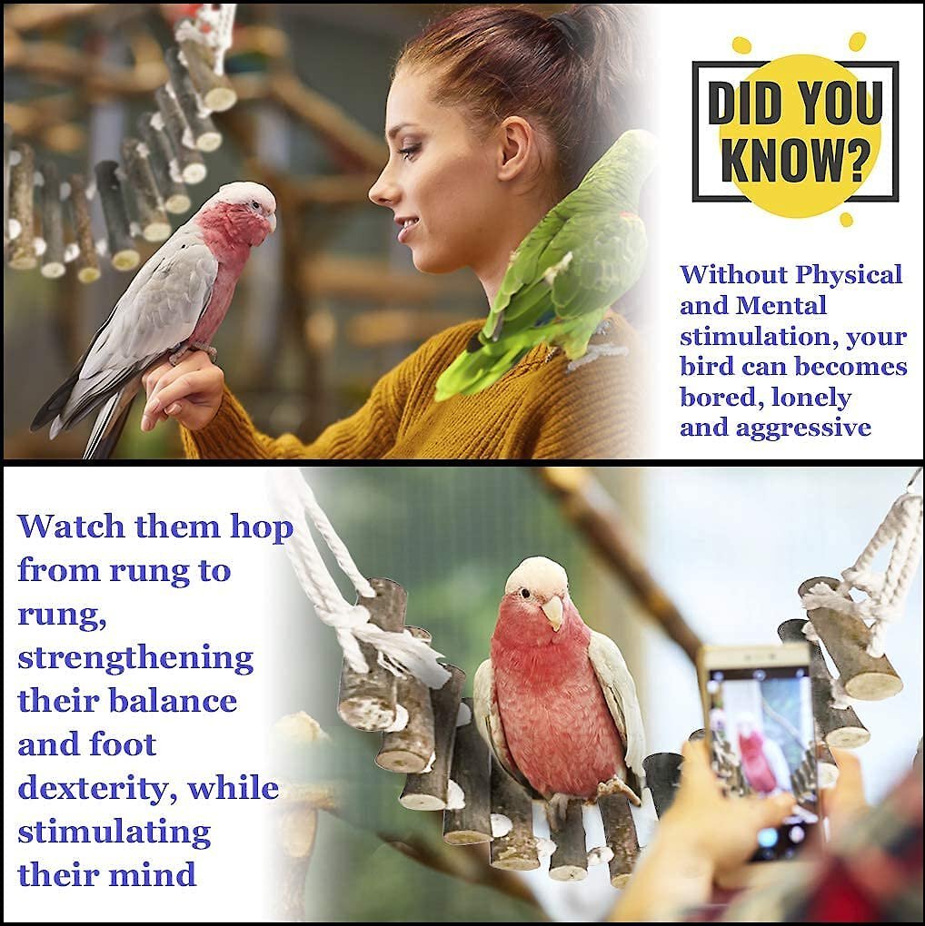 SUNGROW Parakeet & Bearded Dragon Ladder Rope Bridge Bird & Reptile Toy ...