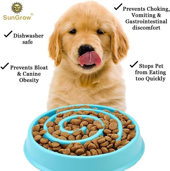 SUNGROW Puzzle Cat, Dog & Small-Pet Maze Feeder & Water Bowl - Chewy.com