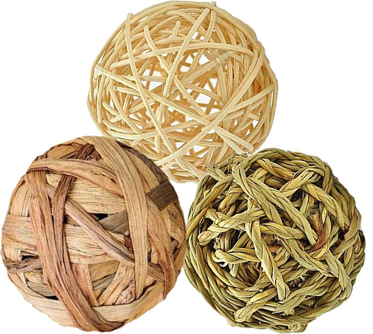 Rabbit Supplies & Accessories | Chewy