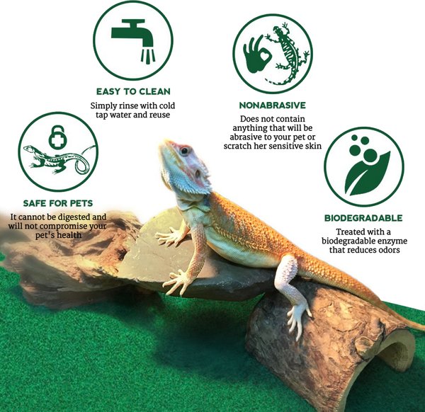 SUNGROW Reptile Carpet Substrate & Floor Liner for Bearded Dragon ...