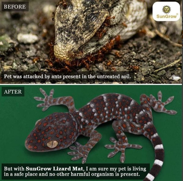 SUNGROW Reptile Carpet Substrate & Floor Liner for Bearded Dragon ...