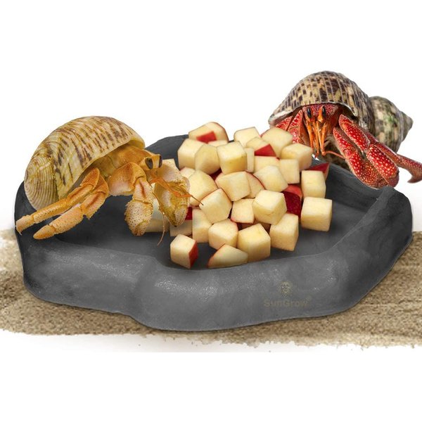 ZOO MED Hermit Crab Sea Sponge - Chewy.com