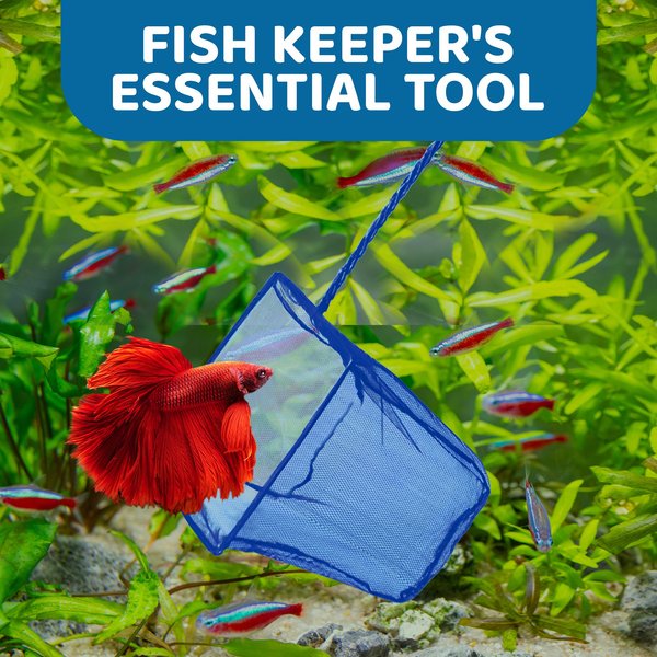 SUNGROW Safe Aquarium Cleaning Fine Mesh Betta Fish Net - Chewy.com