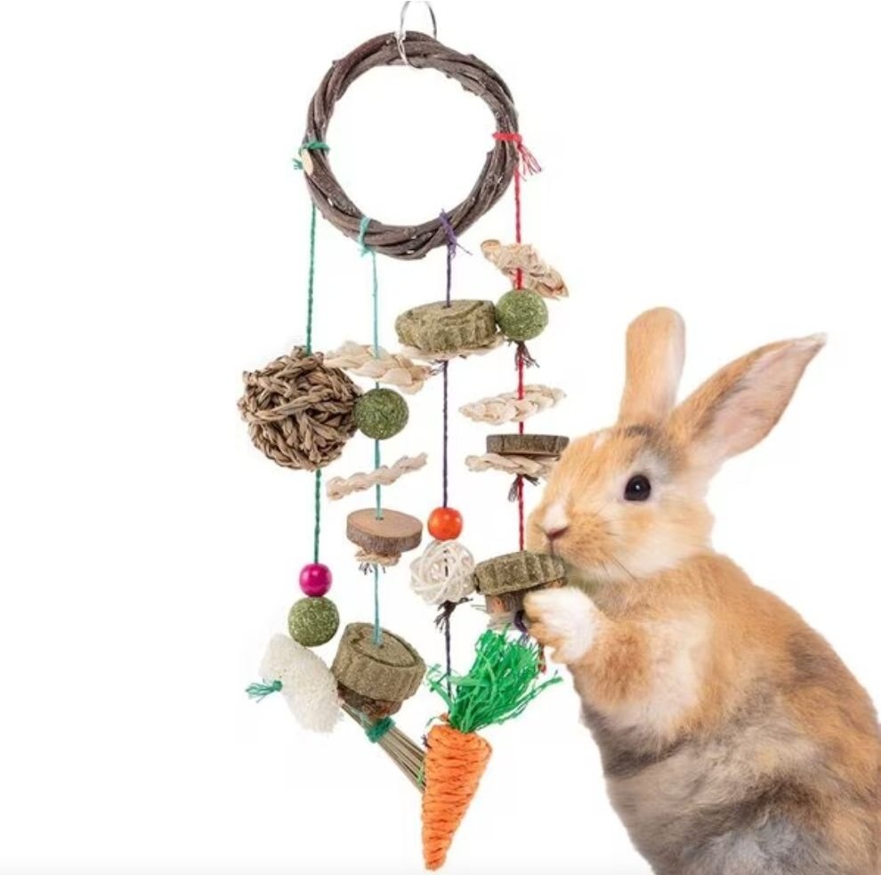 SUNGROW Teeth Grinding Cage Hanging Rabbit Chew Toys - Chewy.com
