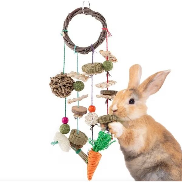SUNGROW Teeth Grinding Cage Hanging Rabbit Chew Toys - Chewy.com