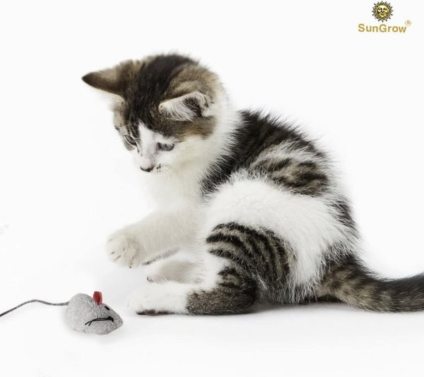 SUNGROW Teething Chews Cat & Ferret Chase & Kicker Mouse Plush Toy, 5 ...