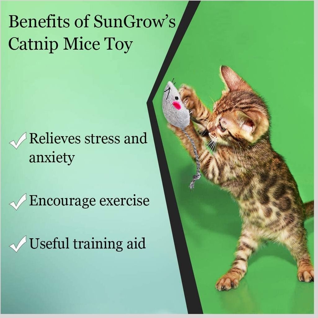SUNGROW Teething Chews Cat & Ferret Chase & Kicker Mouse Plush Toy, 5 ...