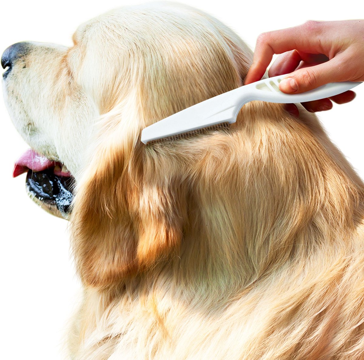 SUNGROW Tick & Flea Comb for Short Haired Dog & Cat, Small Pet Shedding ...