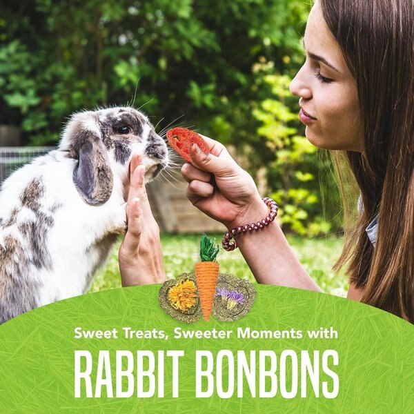 SUNGROW Timothy Hay Variety Pack Small Pet Enrichment Chew Treats, 12 ...