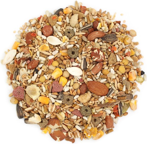 SUNSEED Vita Prima Conure Food, 3-lb bag - Chewy.com