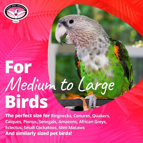 SUPER BIRD CREATIONS 4 Way Forager Bird Toy - Chewy.com