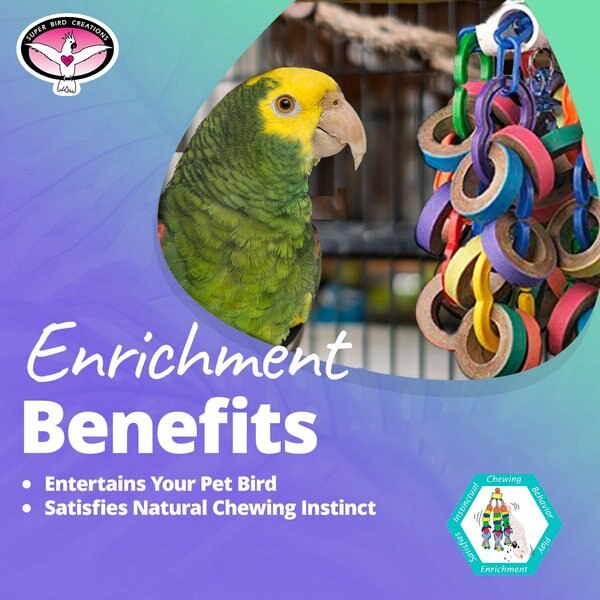 SUPER BIRD CREATIONS Bagel Cascade Bird Toy, Large - Chewy.com