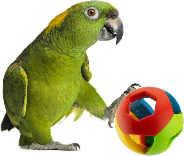 SUPER BIRD CREATIONS Birdie Ball Exercise Bird Toy, X-Large - Chewy.com