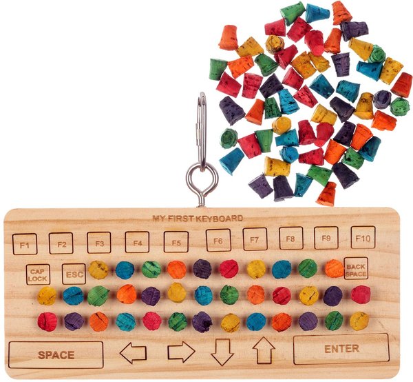 SUPER BIRD CREATIONS Birdie Keyboard Chewable Bird Toy - Chewy.com