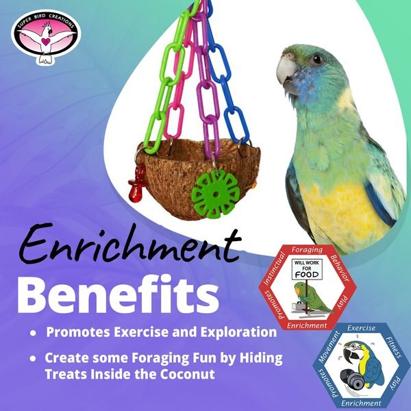 SUPER BIRD CREATIONS Coco Treat Cup Bird Toy - Chewy.com