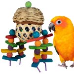 SUPER BIRD CREATIONS Rainbow Aglets Preening Bird Toy, Large - Chewy.com