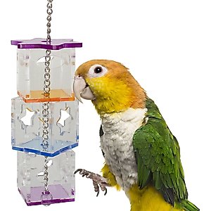 SUPER BIRD CREATIONS Foraging Fun Box Conure Foraging Toy - Chewy.com