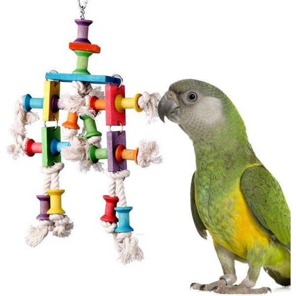 A&E CAGE COMPANY Rainbow Cotton Rope Boing Bird Toy - Chewy.com