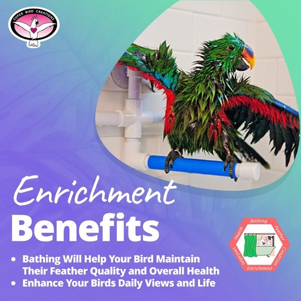 SUPER BIRD CREATIONS Fold Away Shower Window Bird Perch, Medium/Large ...