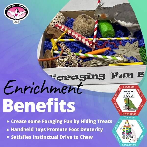 SUPER BIRD CREATIONS Foraging Fun Box Conure Foraging Toy - Chewy.com