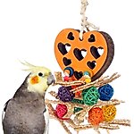 SUPER BIRD CREATIONS Foraging Fun Box Conure Foraging Toy - Chewy.com