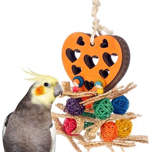 SUPER BIRD CREATIONS Heart Conure Foraging Toy - Chewy.com