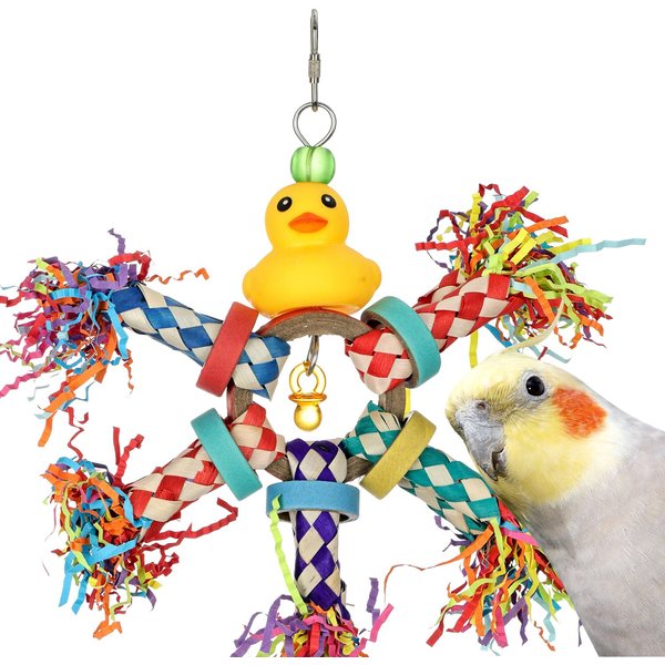 SUPER BIRD CREATIONS Just Ducky Conure Preening Toy - Chewy.com