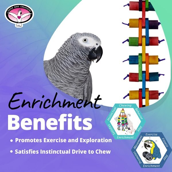 SUPER BIRD CREATIONS Link 'N Chew Bird Toy - Chewy.com