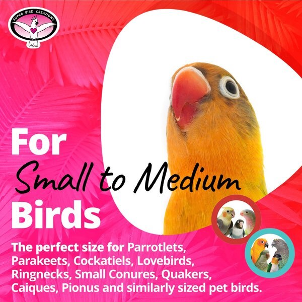 SUPER BIRD CREATIONS Natural Crunchies Bird Toy, 8 count - Chewy.com