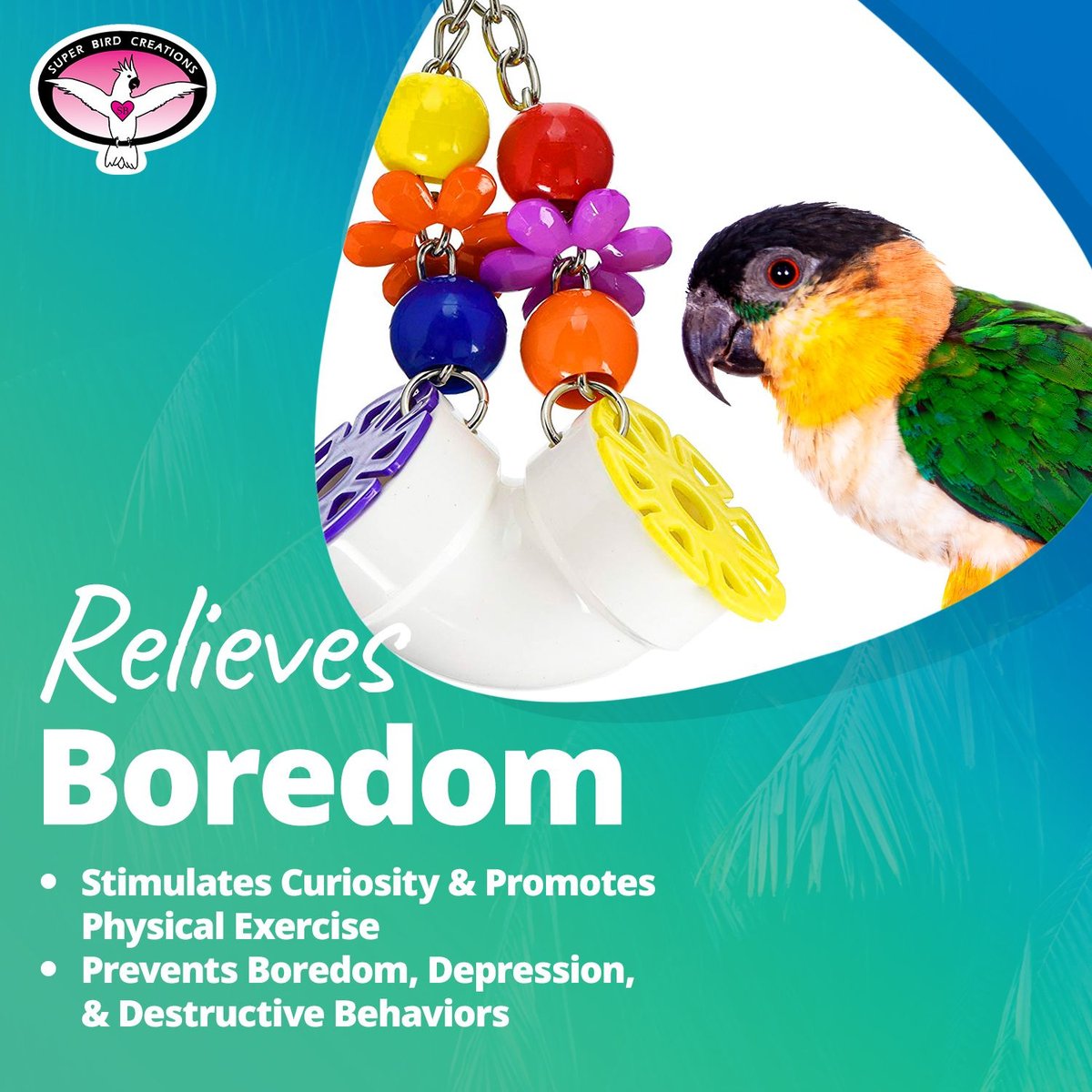 SUPER BIRD CREATIONS PVC Forager Bird Toy, Medium/Large - Chewy.com