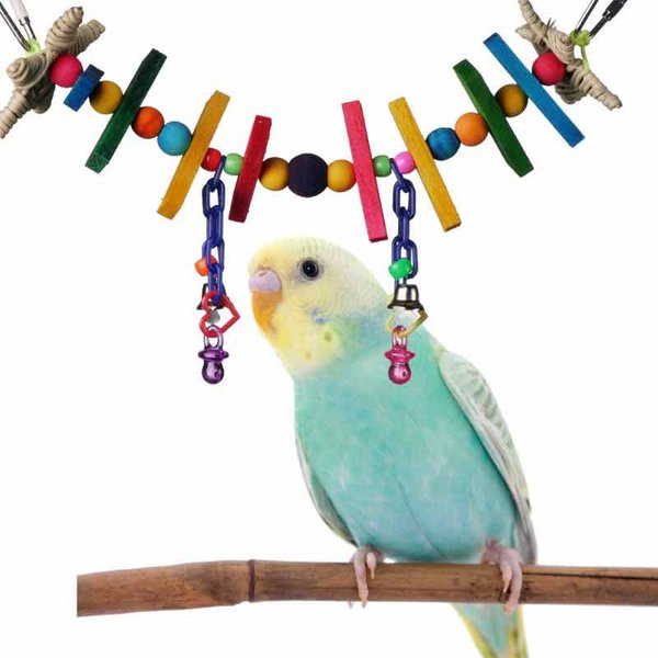 A&E CAGE COMPANY Rainbow Cotton Rope Boing Bird Toy - Chewy.com