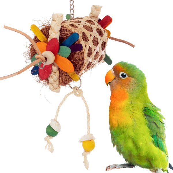 SUPER BIRD CREATIONS Rainbow Aglets Preening Bird Toy, Large - Chewy.com