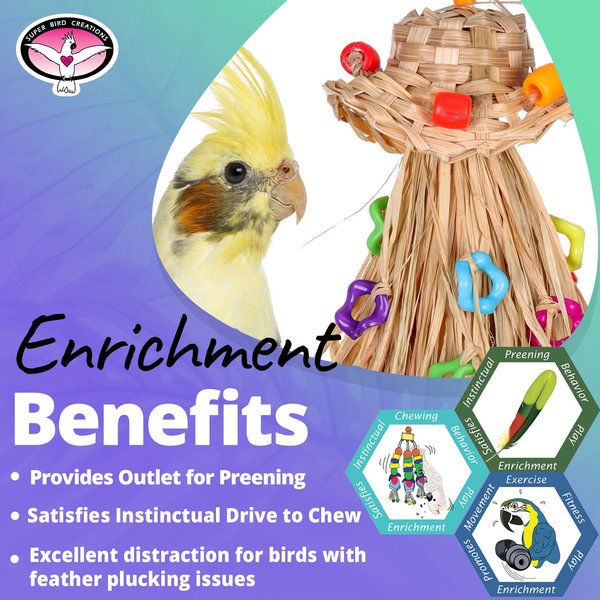 SUPER BIRD CREATIONS Straw Hat Preener Bird Toy - Chewy.com