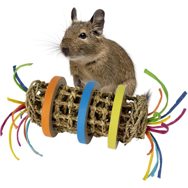 SUPER BIRD CREATIONS Activity Wall Small Pet Toy - Chewy.com