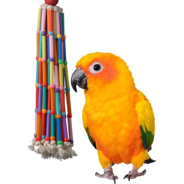 SUPER BIRD CREATIONS Wiggles & Wafers Bird Toy, Medium - Chewy.com
