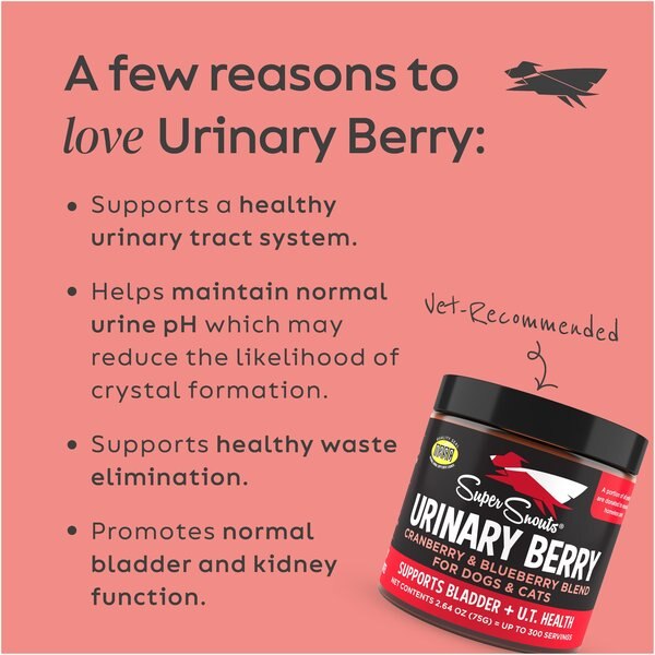 SUPER SNOUTS Berry Cranberry & Wild Blueberry Urinary Tract Dog ...