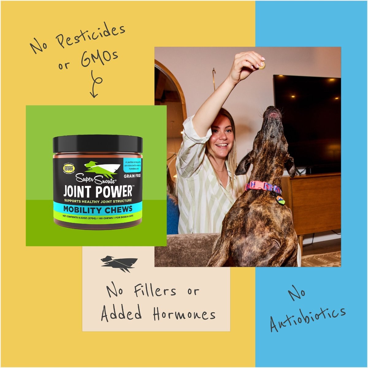 SUPER SNOUTS Joint Power Soft Chew Supplement for Dogs & Cats, 60 count ...