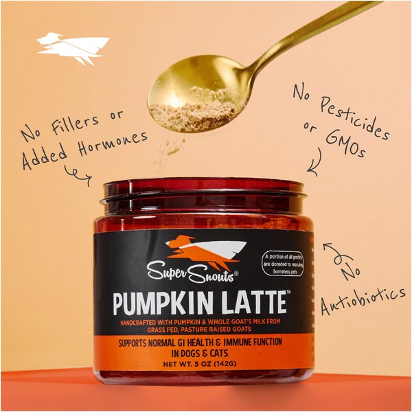 SUPER SNOUTS Pumpkin Latte Dog & Cat Digestive Supplement, 10-oz jar ...