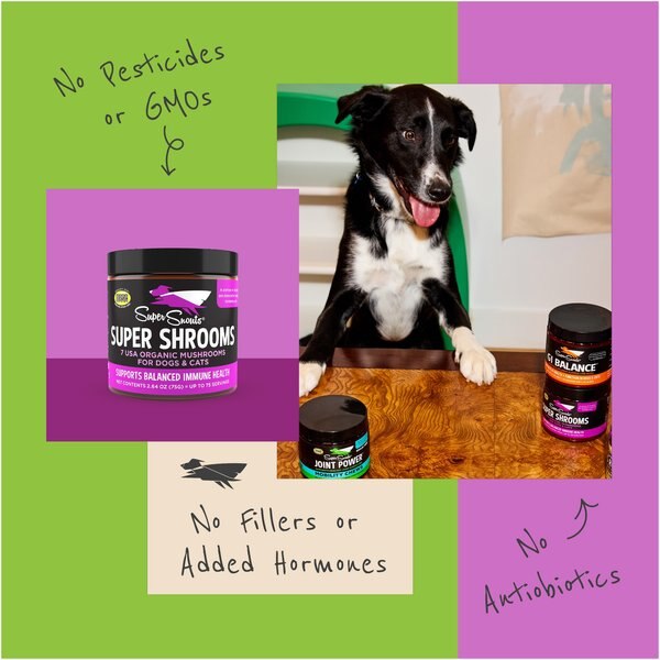 SUPER SNOUTS Super Shrooms Organic Super 7 Medicinal Mushroom Blend Dog ...